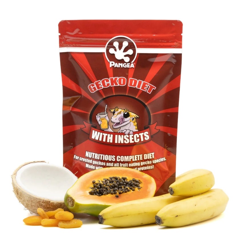 Pangea With Insects | Ragin’ Reptiles Supply